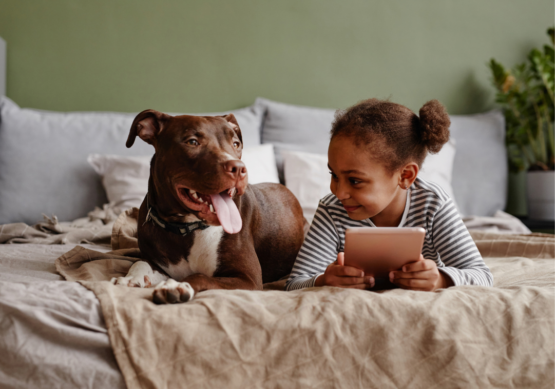 Managed Wi-Fi - BTC Fiber